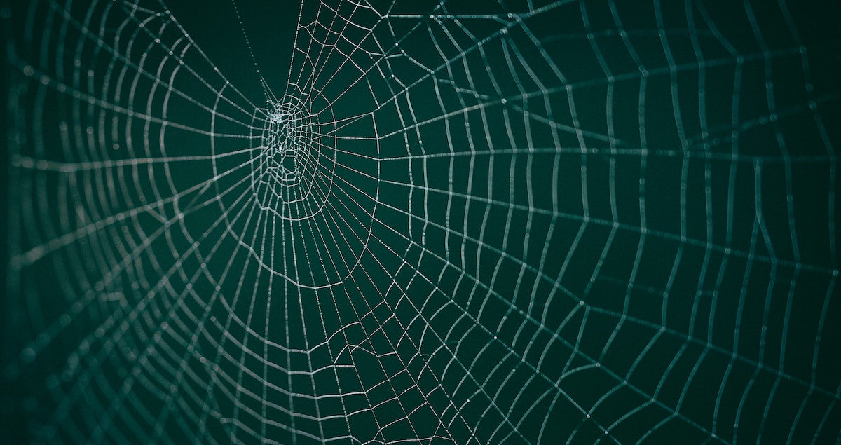 The Founder Trap | Nat Eliason | Nat Eliason